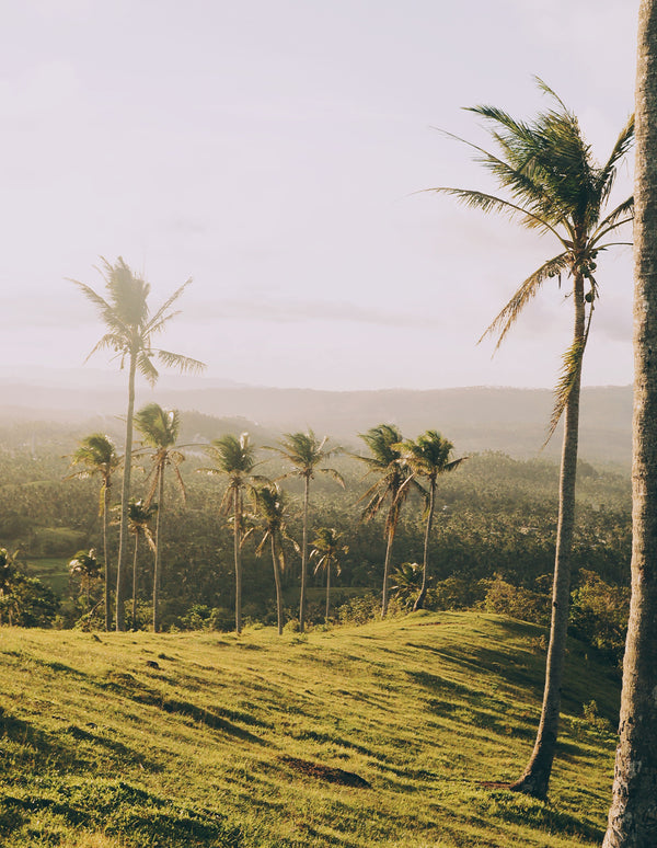 Blog One – Lukas Williams